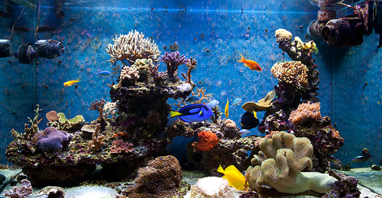 Акаба достопримечательности